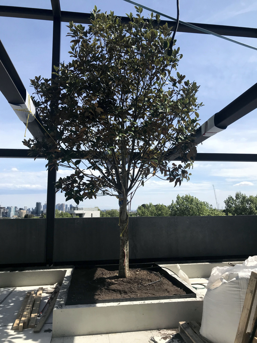 Planter Box Liners | Custom Made | Viking Plastics